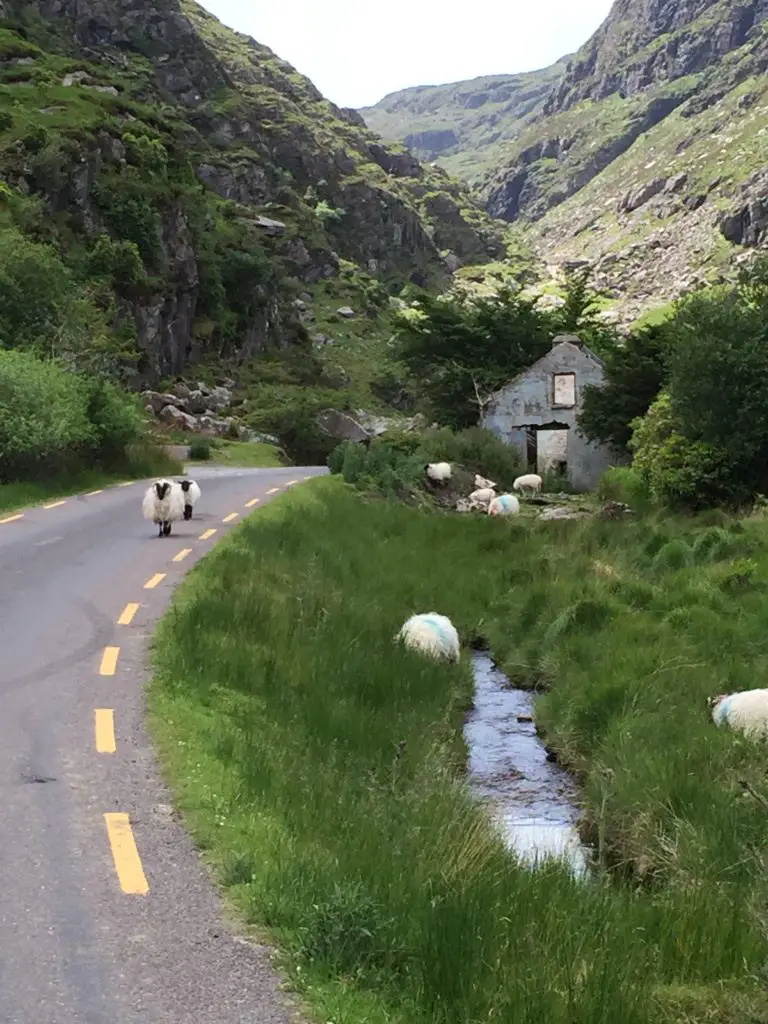 15 Photos to Inspire You to Visit the Gap of Dunloe | An Adventure is ...
